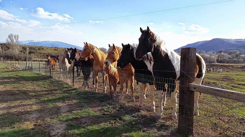 Wolcott, CO Listings - Red Sky Ranch | Vail Luxury Homes